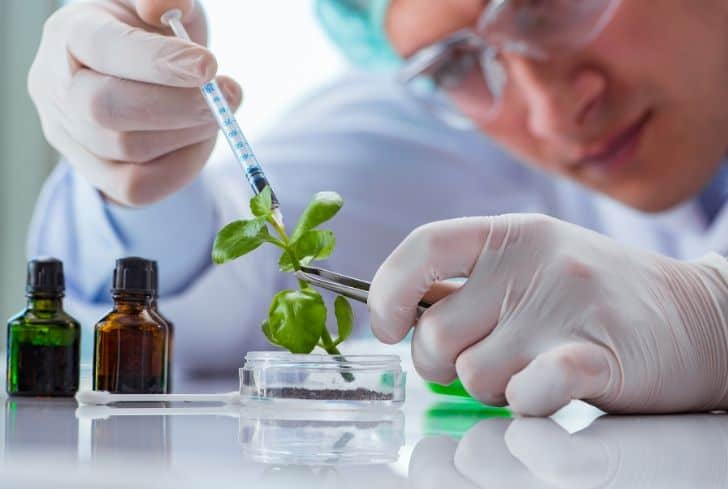 Role Of Biotechnology Inti International University And Colleges