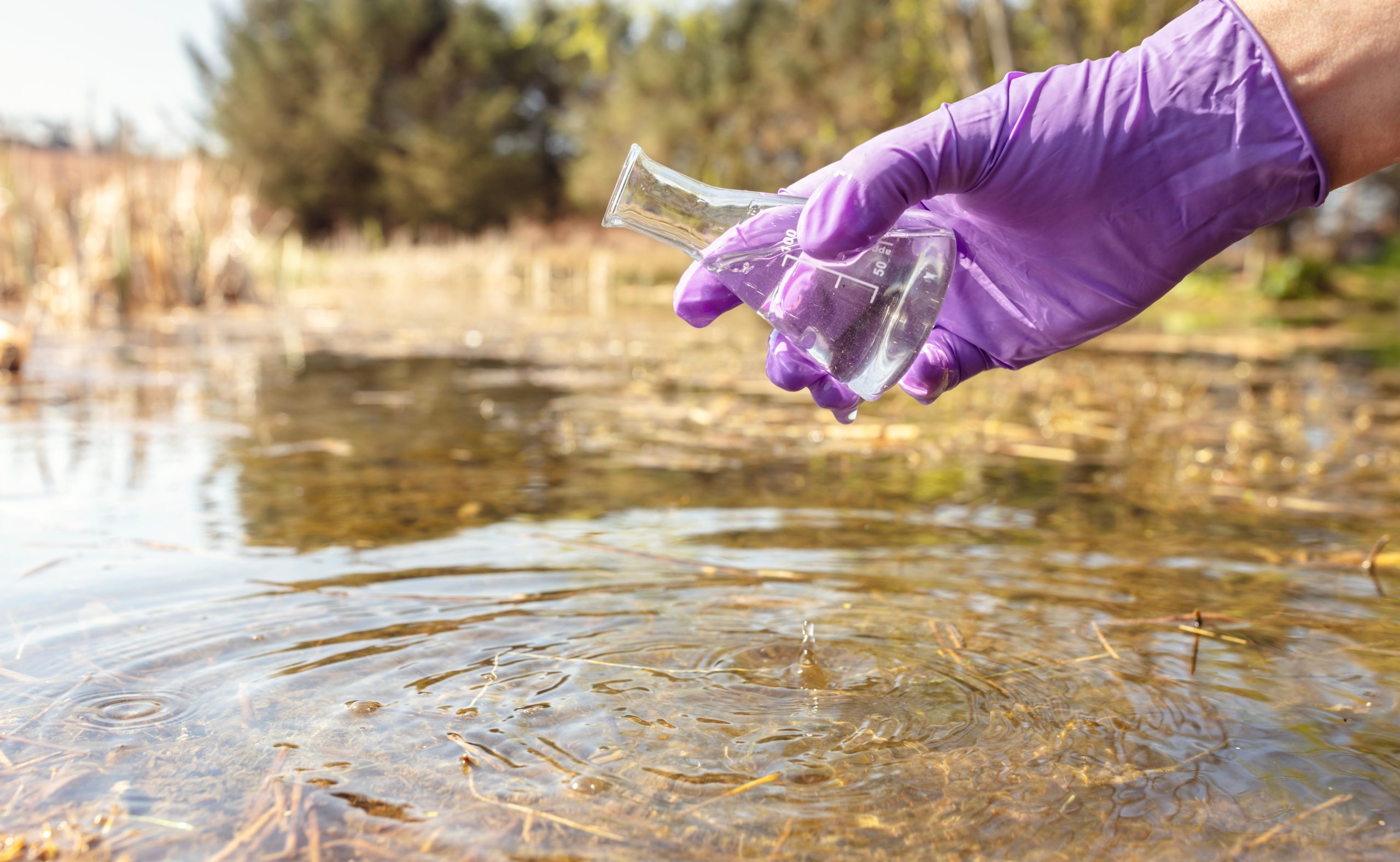 Water,Sample,And,Purity,Analysis,Test,,Liquid,In,Laboratory,Glassware ...