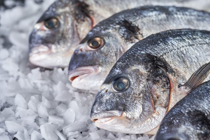 Giving Fish Scales a Second Life – INTI International University & Colleges